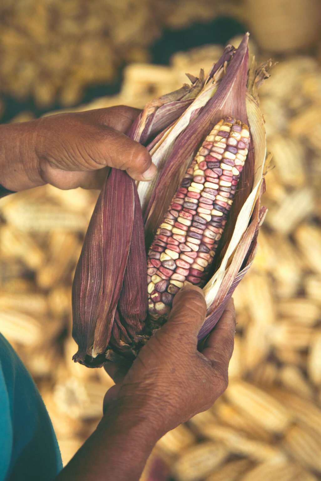 Life Cycles: The Materials of Contemporary Design, at MoMA ...